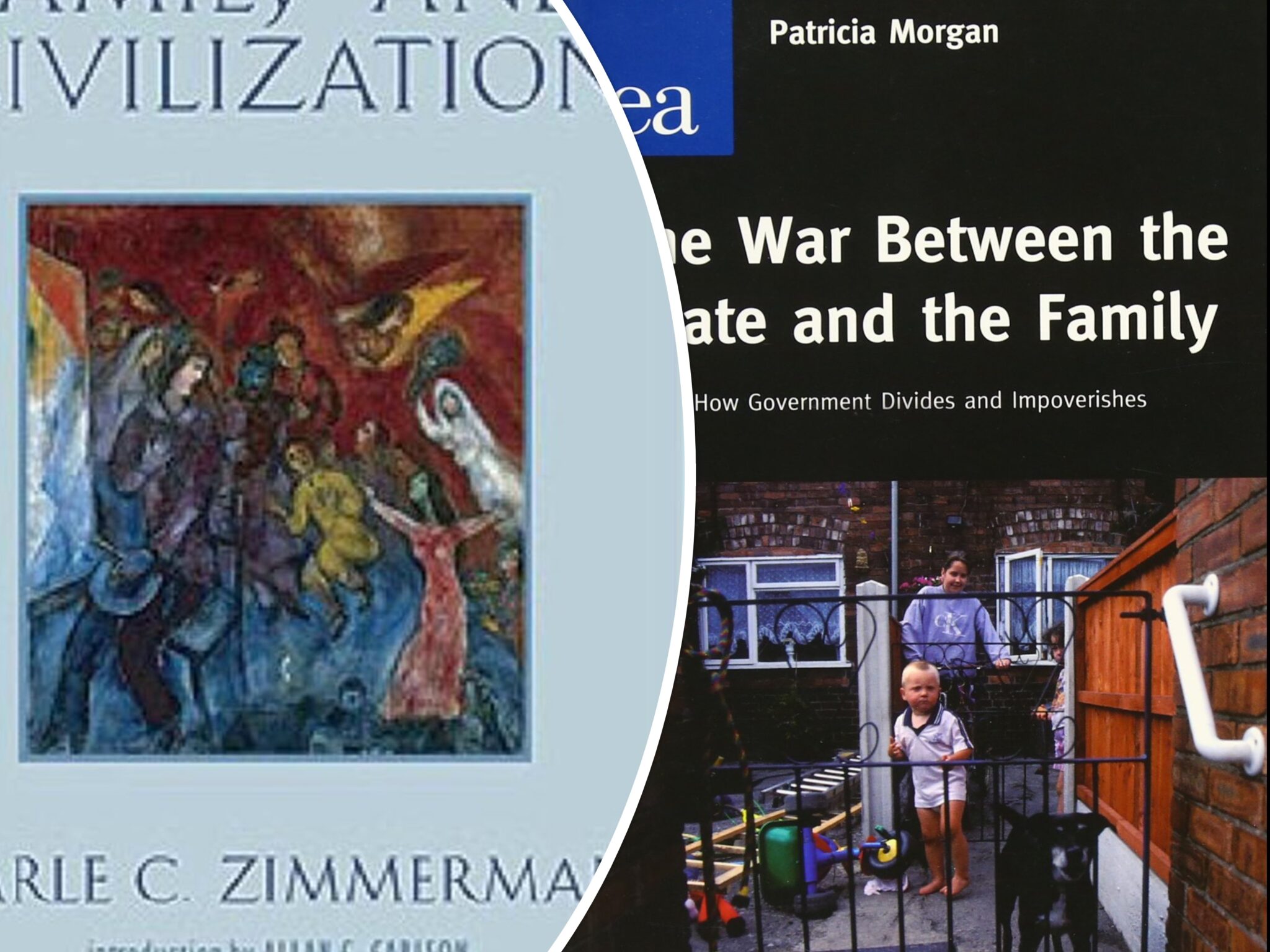 The Origins of the Red State–Blue State Divide – The Natural Family